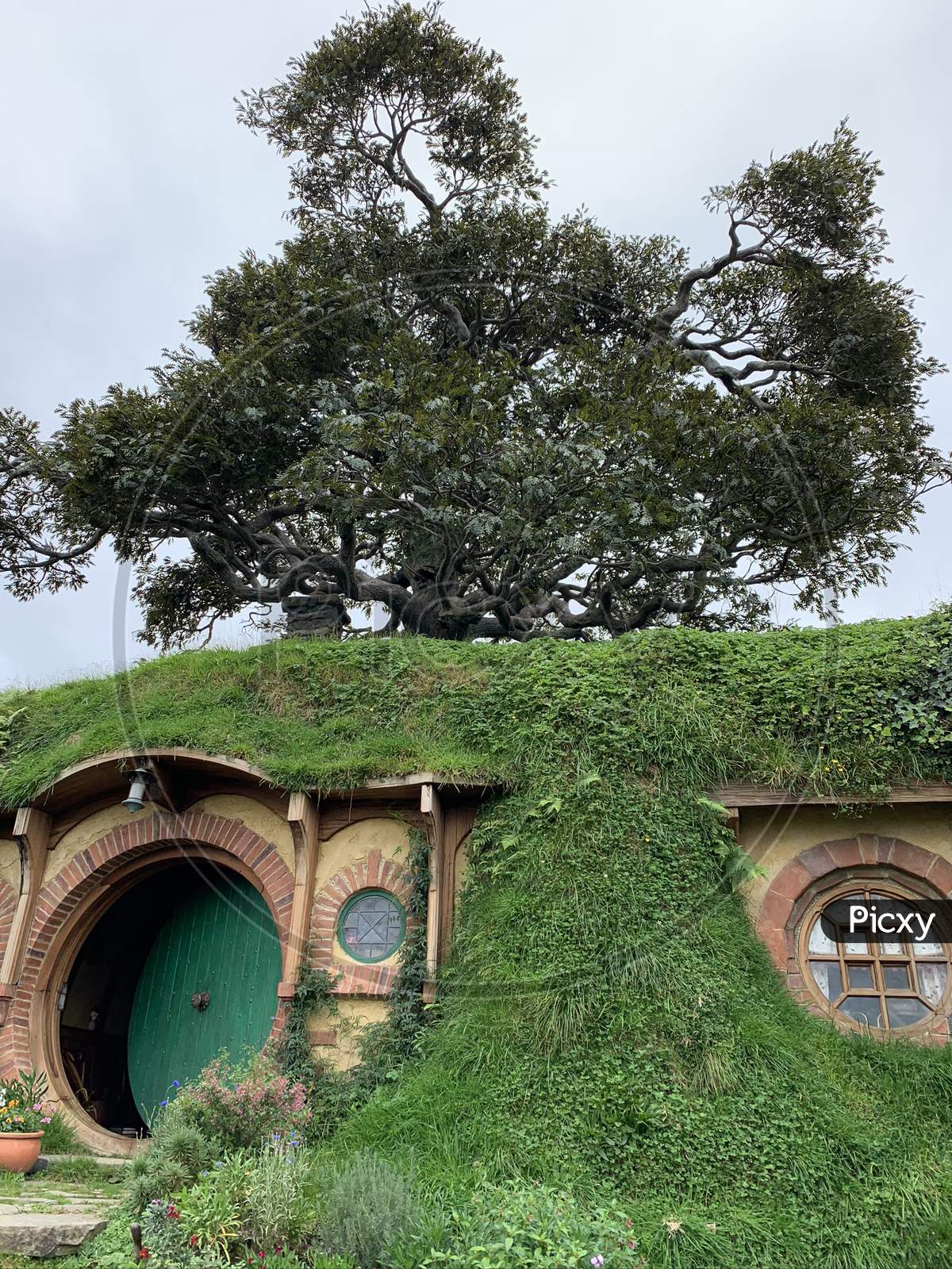 Image of Artificial Tree at hobbiton-DQ919705-Picxy