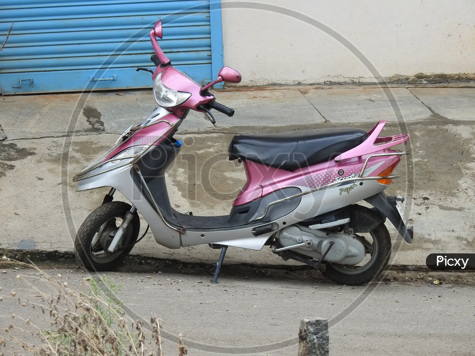 Image of Beautiful Scooty KY144485 Picxy
