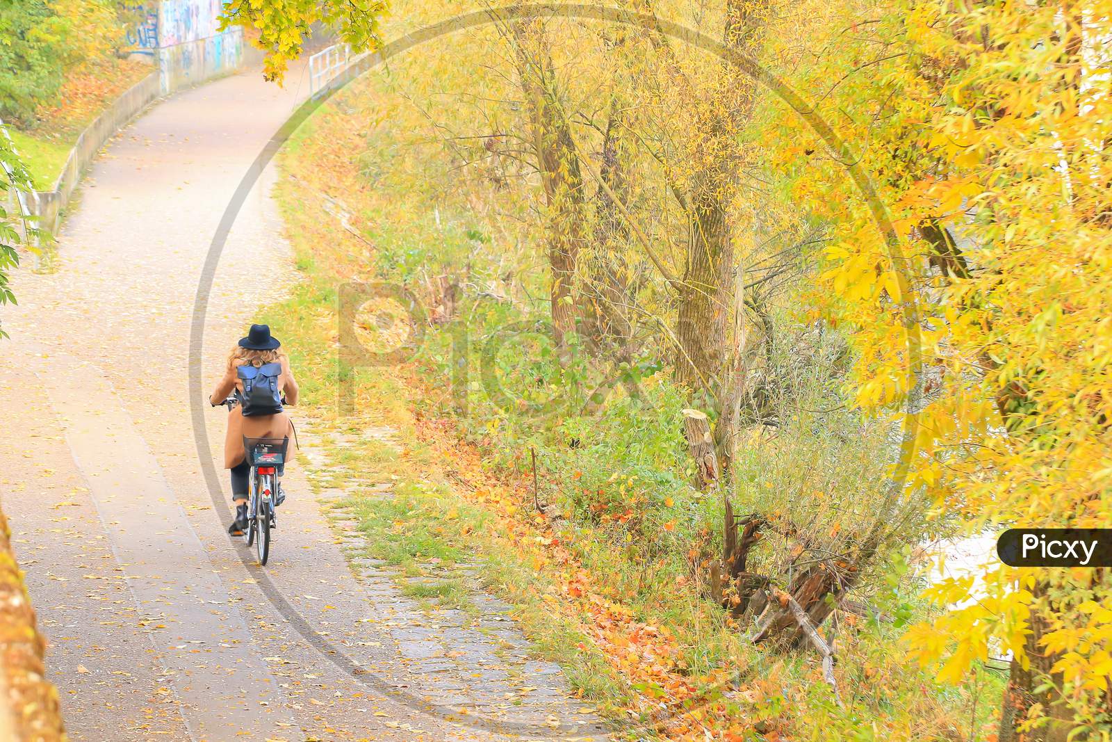 Image of Woman Riding The Bicycle In Fall Season. View From The Back ...