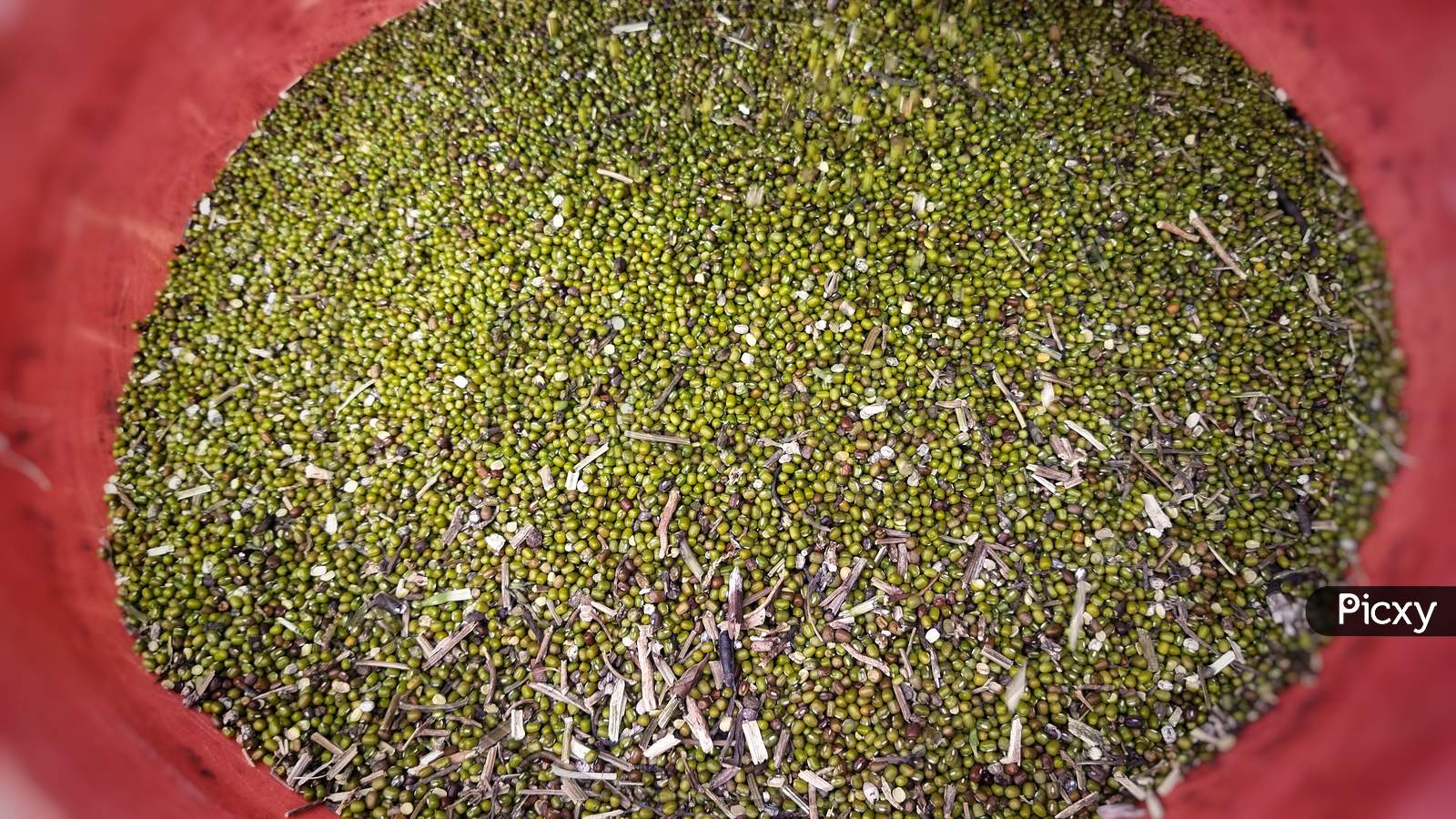 Image of Close up of moong grains in red bucket-YH180681-Picxy