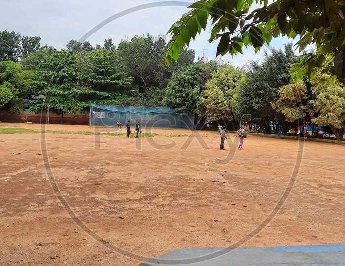 Image of Closeup Of Indian Arakere Bruhat Bengaluru Mahanagara Palika ...