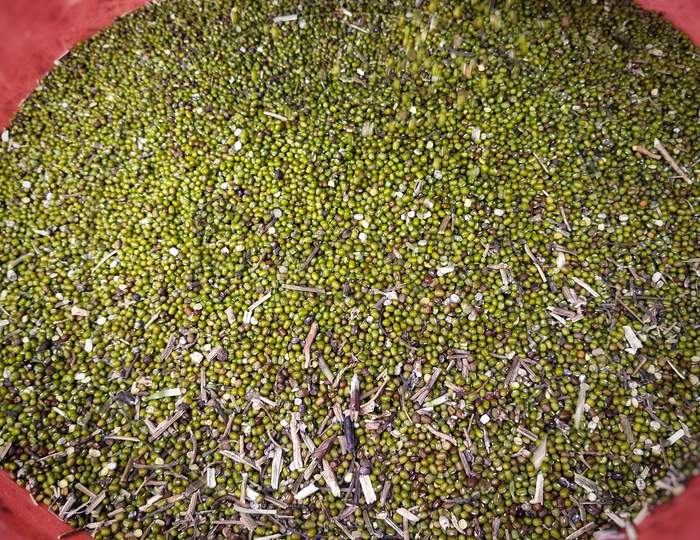 Image of Close up of moong grains in red bucket-YH180681-Picxy