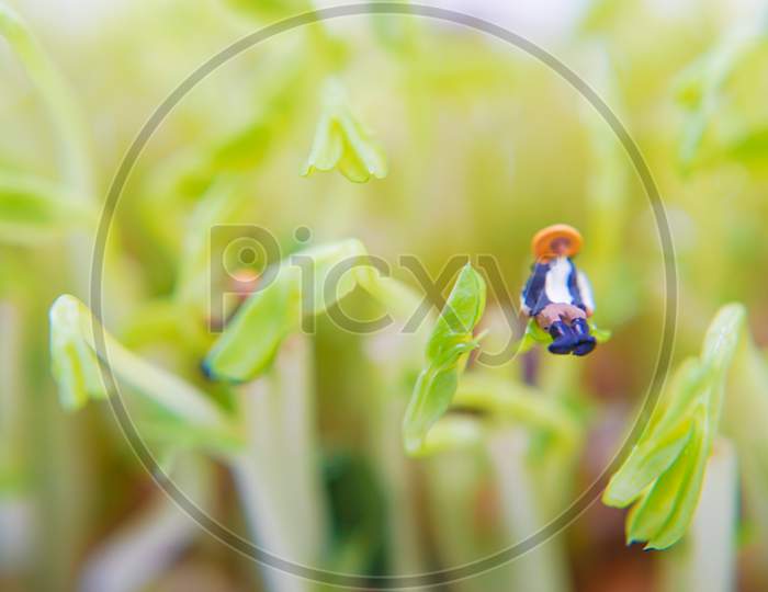 Image of Small Person Sitting In Tree Leaves-IW524035-Picxy