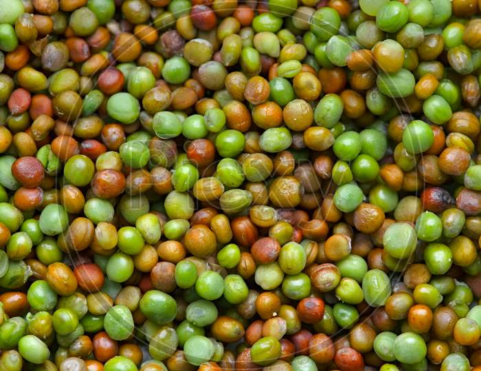 Image of Selective Focus Background Komatsuna Japanese Green Seeds Red ...