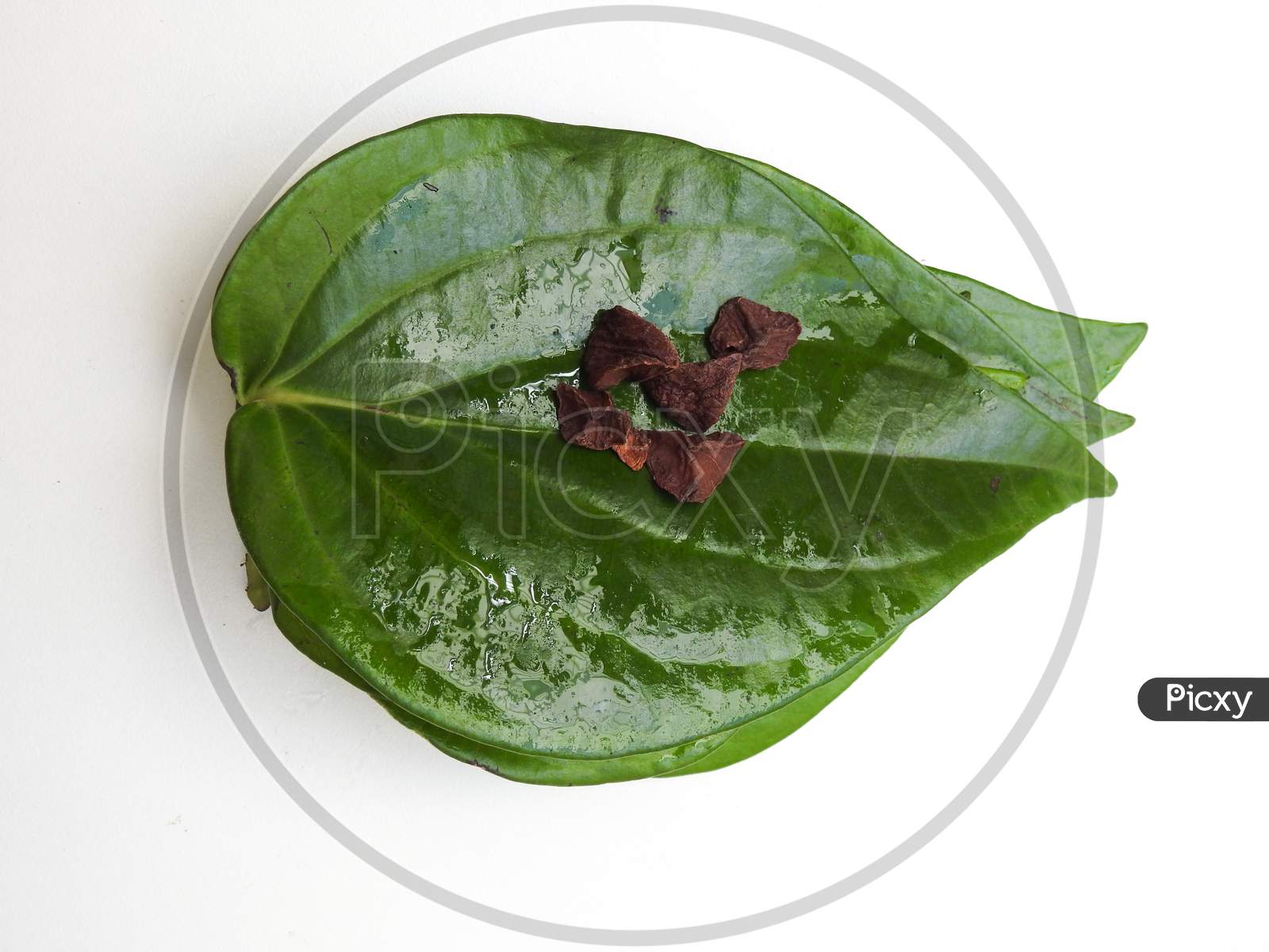 Image of Indian Traditional Chewing For Digestion Of Betel Leaves And ...