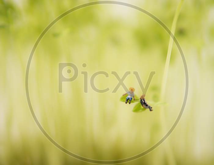 Image of Small Person Sitting In Tree Leaves-FK799592-Picxy