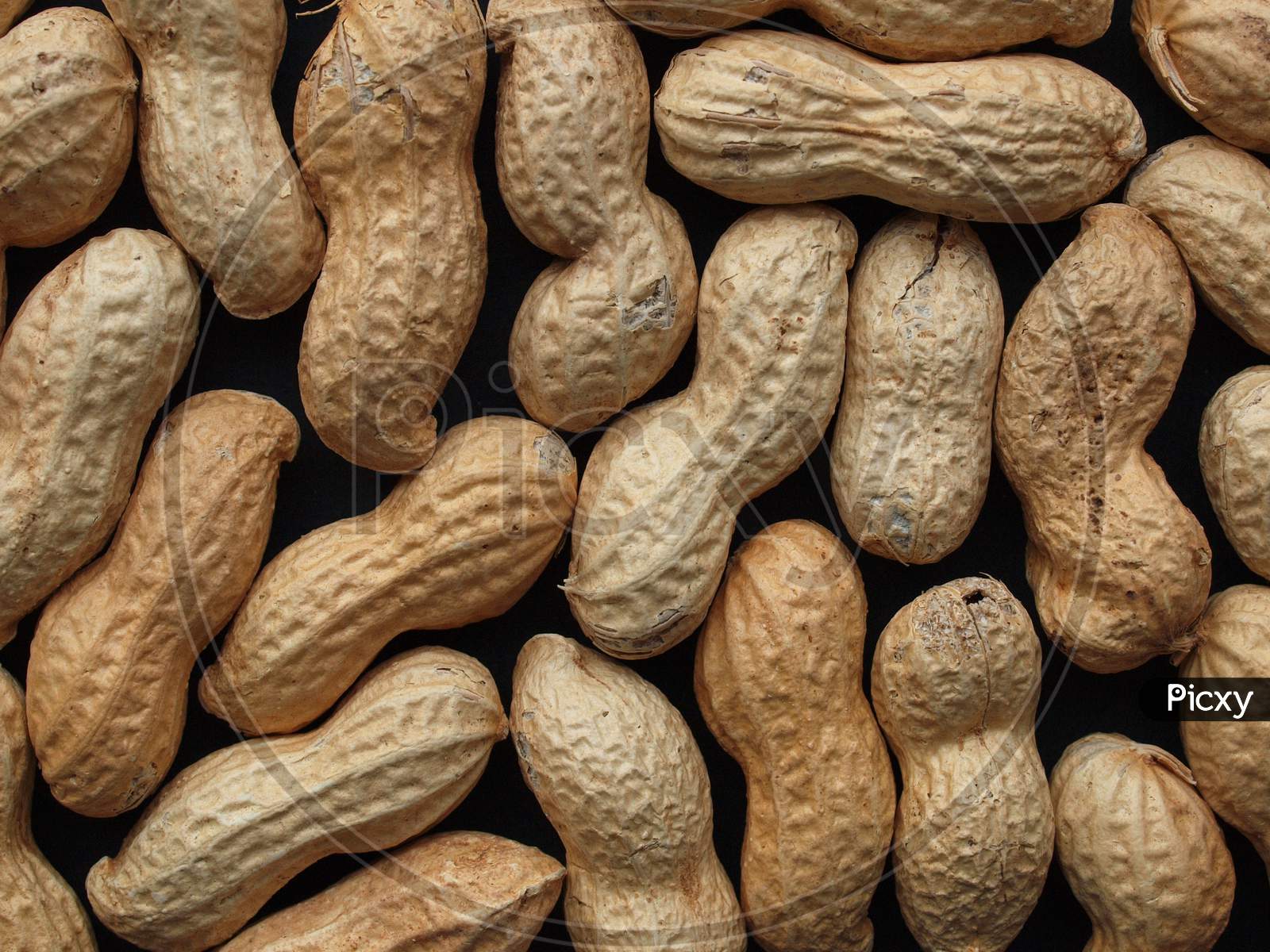 Image of Peanut Picture-JA829385-Picxy