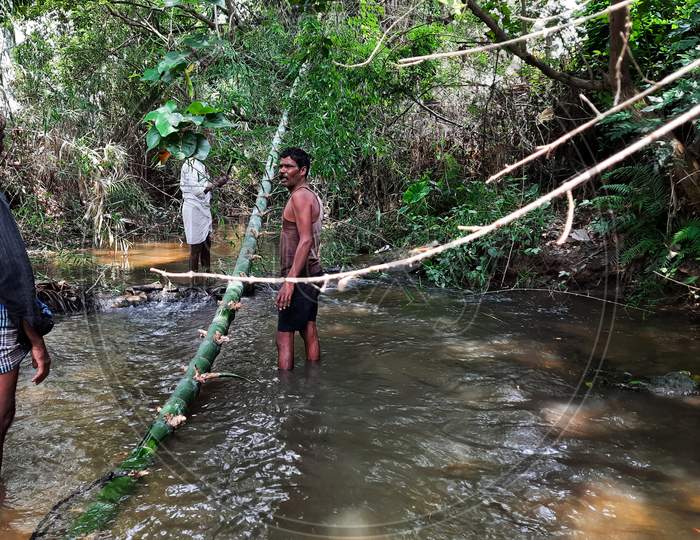 Image of Closeup Of Indian Villages Group Of Mens Cutting Bamboo Tree ...