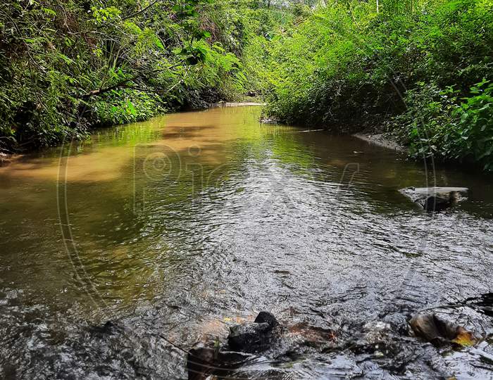 Image of Closeup of beautiful crystal clear lake or pond water flowing ...