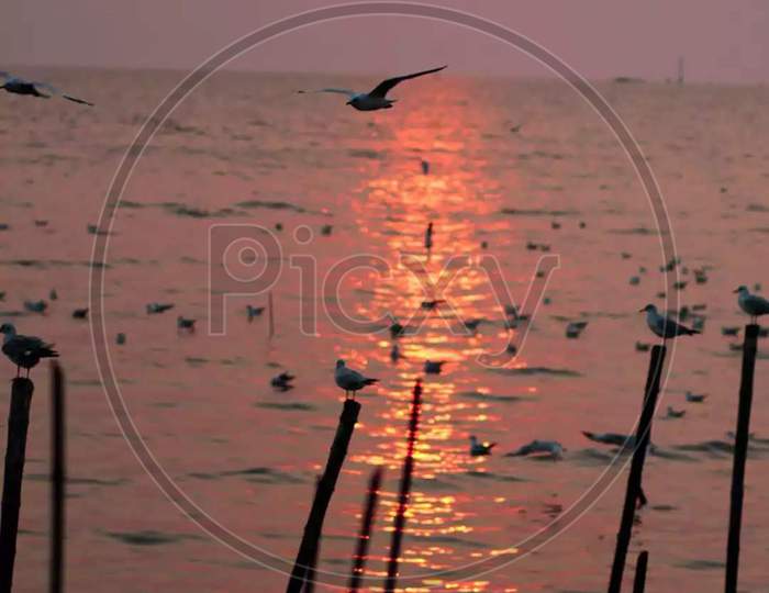 Image of Water evening pic-QV077550-Picxy