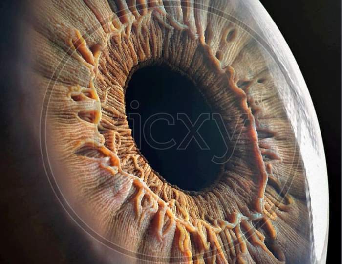 Image of Eye core-QO582950-Picxy