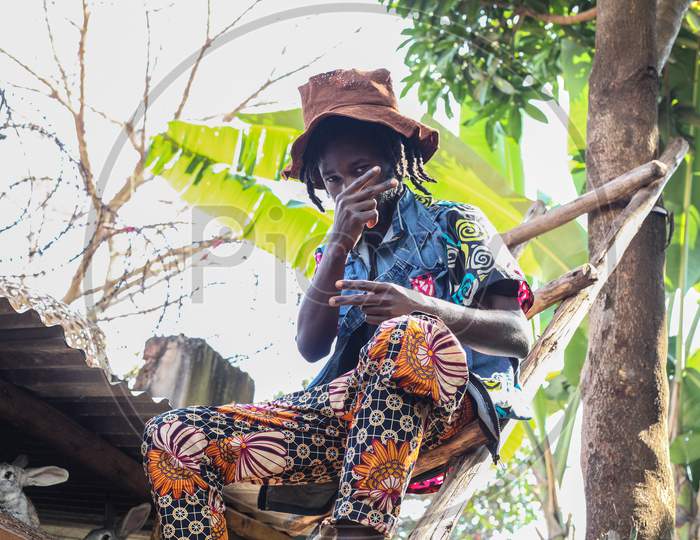 Image of Black African American man or youth high and climbs a tree in ...
