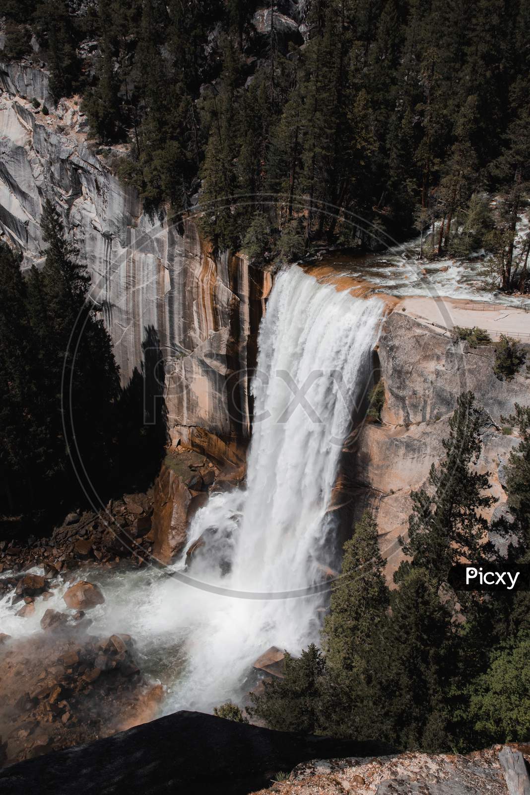 Image of lockdown nature little girl stachu-LJ960656-Picxy