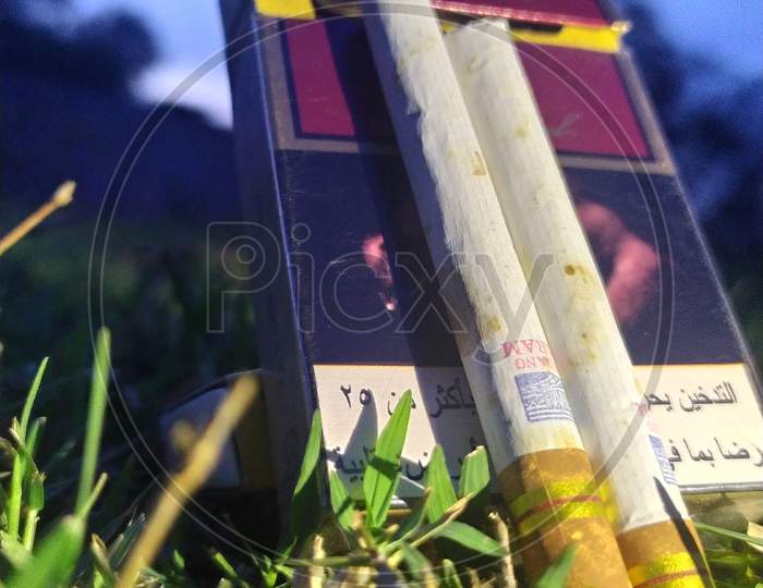 Image of cigratte-NF619631-Picxy