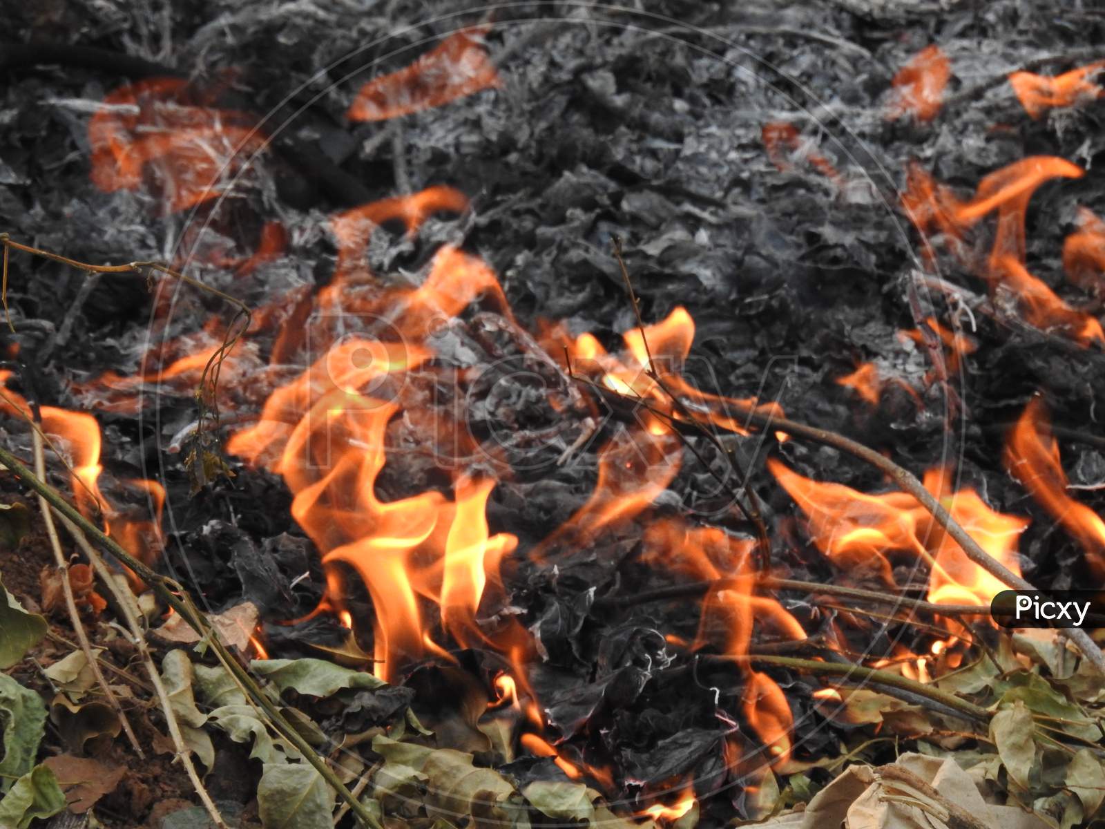 Image of Beautiful Vivid smoldered firewoods burned in fire ...