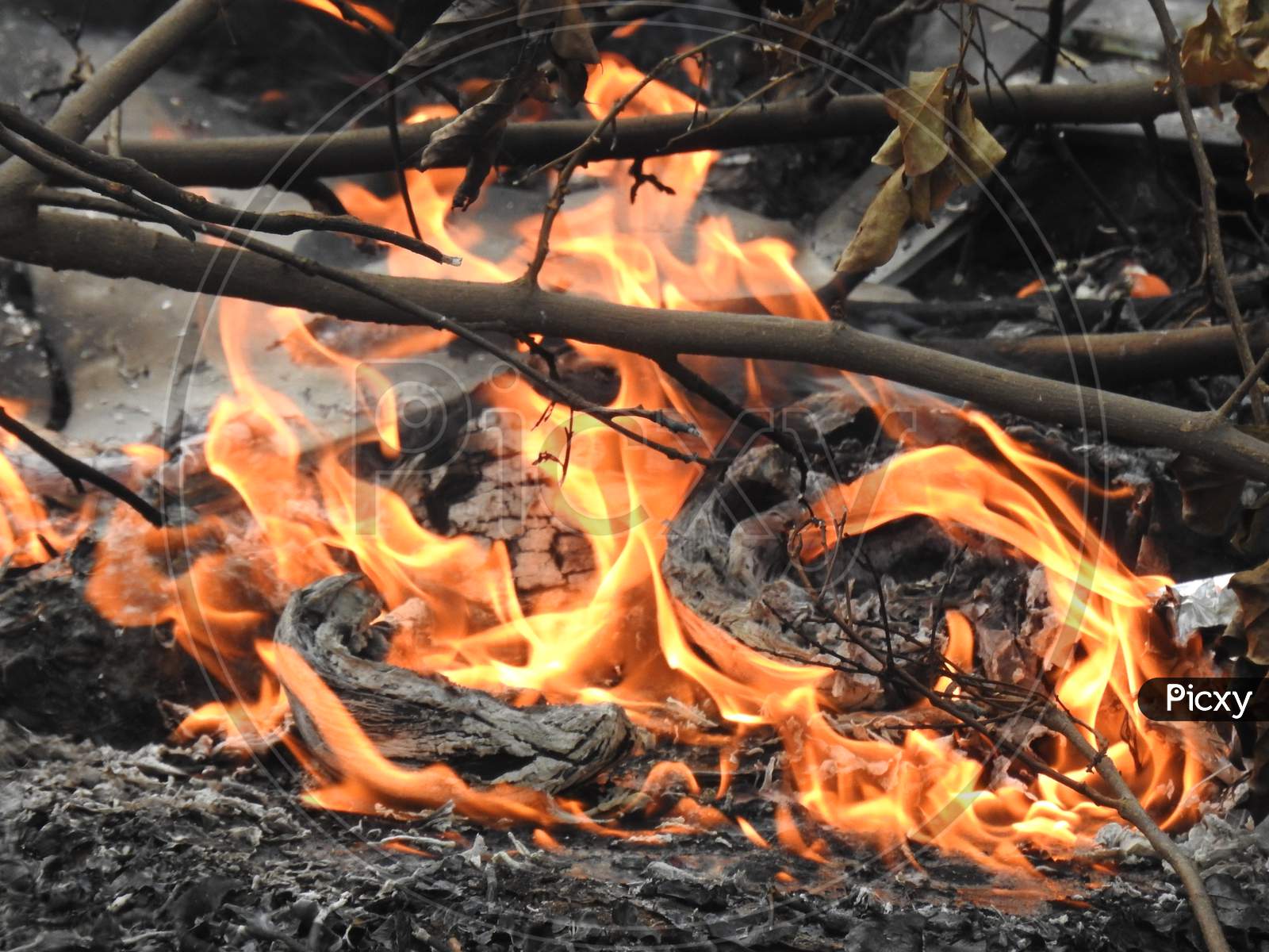Image of Beautiful Vivid smoldered firewoods burned in fire ...
