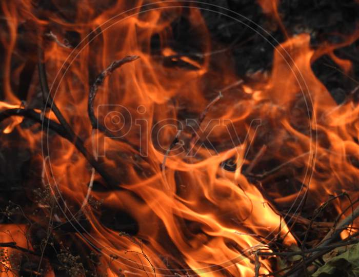 Image of Beautiful Vivid smoldered firewoods burned in fire ...