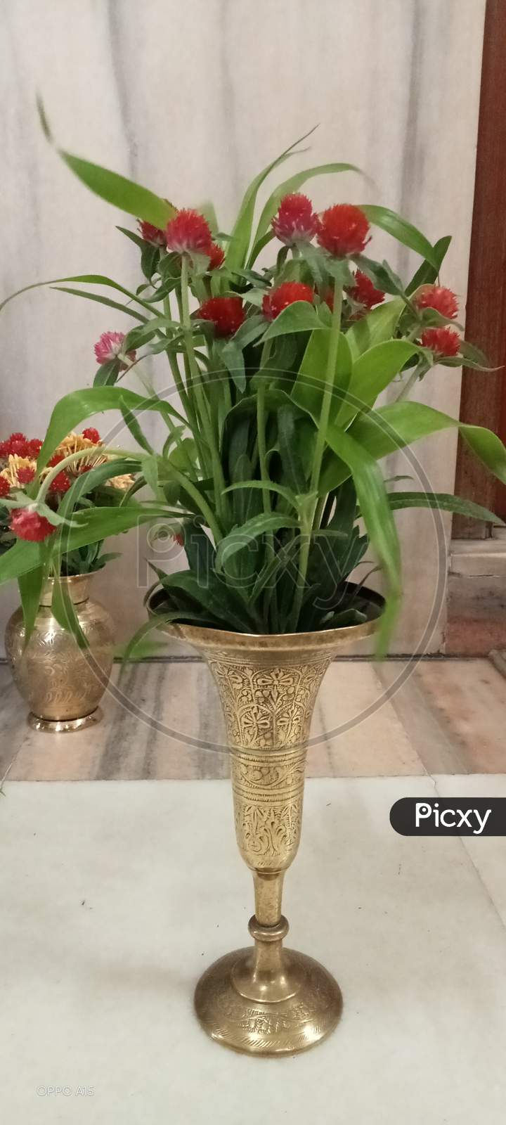 Image of Flower wash-SP413002-Picxy