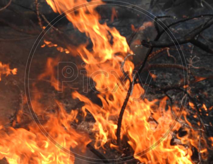 Image of Beautiful Vivid smoldered firewoods burned in fire ...