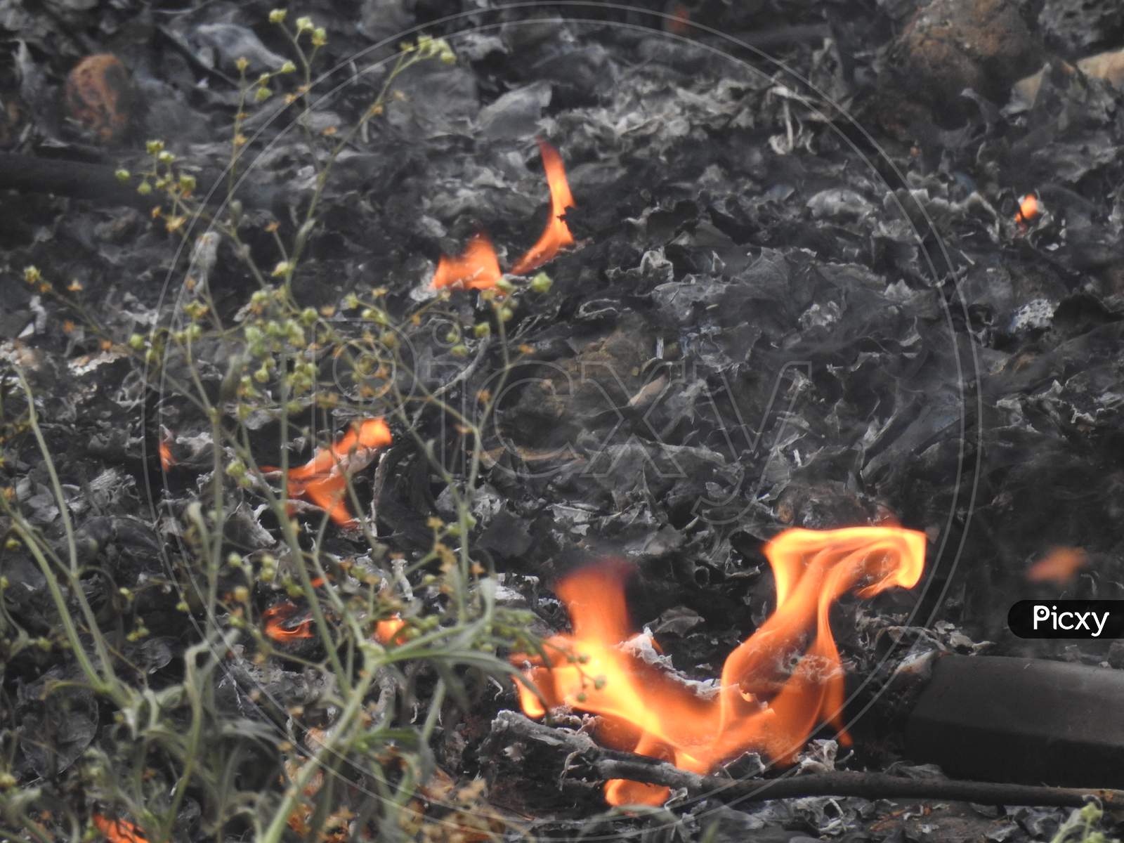 Image of Beautiful Vivid smoldered firewoods burned in fire ...