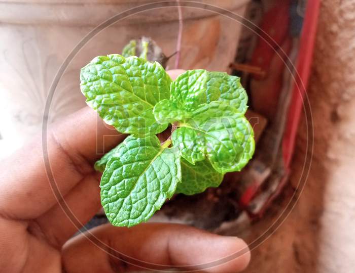 Rushikesh Waghmare photos on Picxy