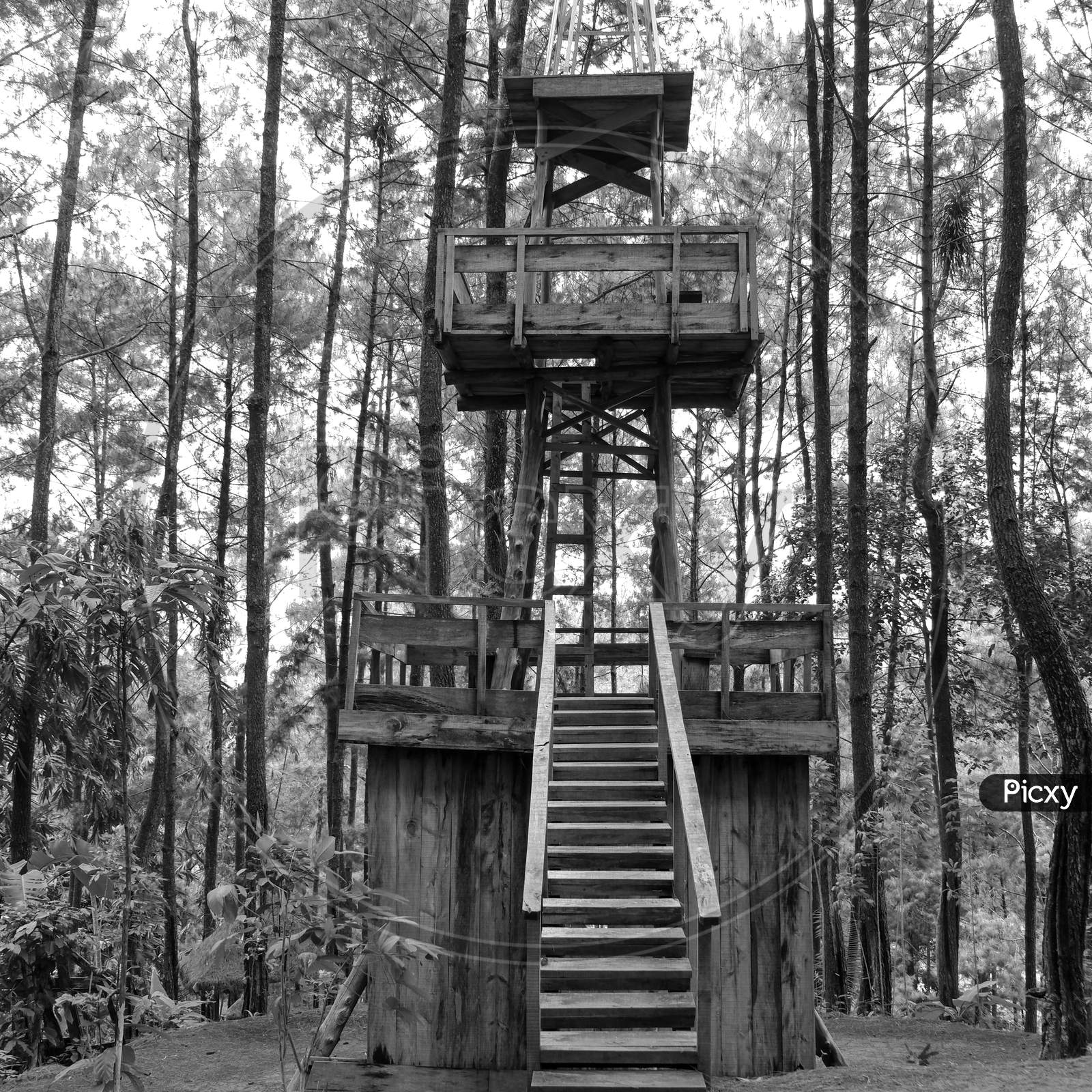 Image of Black And White Photo Of An Artificial Tower Made Of Wood In A ...