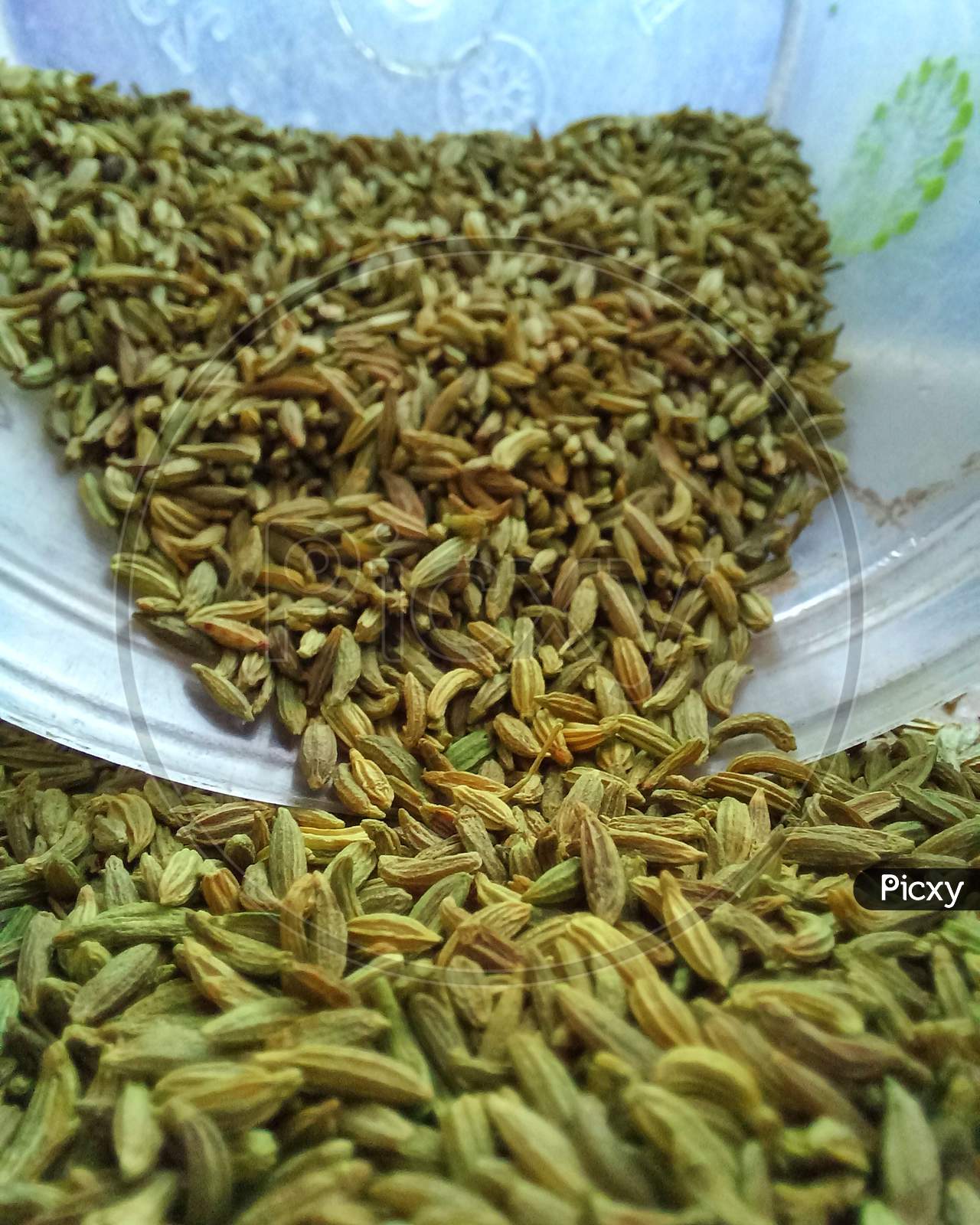 Image of Anise seeds.-CR861771-Picxy