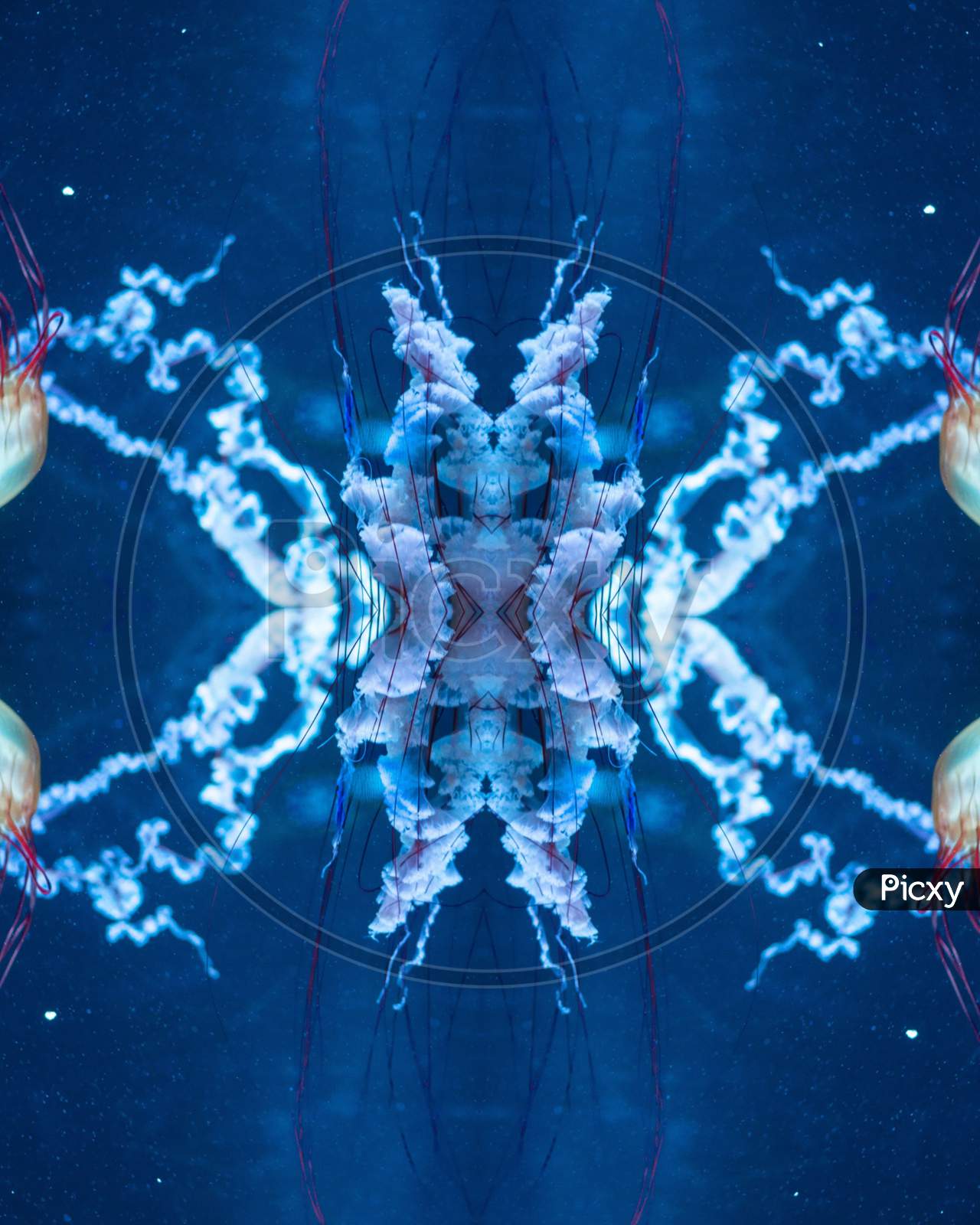 Image of Creative 3d design abstract background-PM991785-Picxy