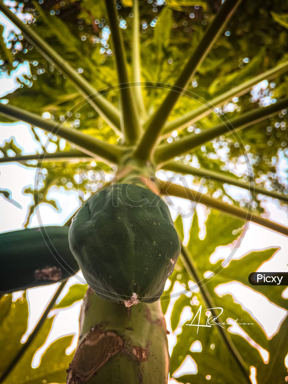 Image of {"Origin":"Unknown","Uid":"0C296E16-F892-45B2-94D5 ...