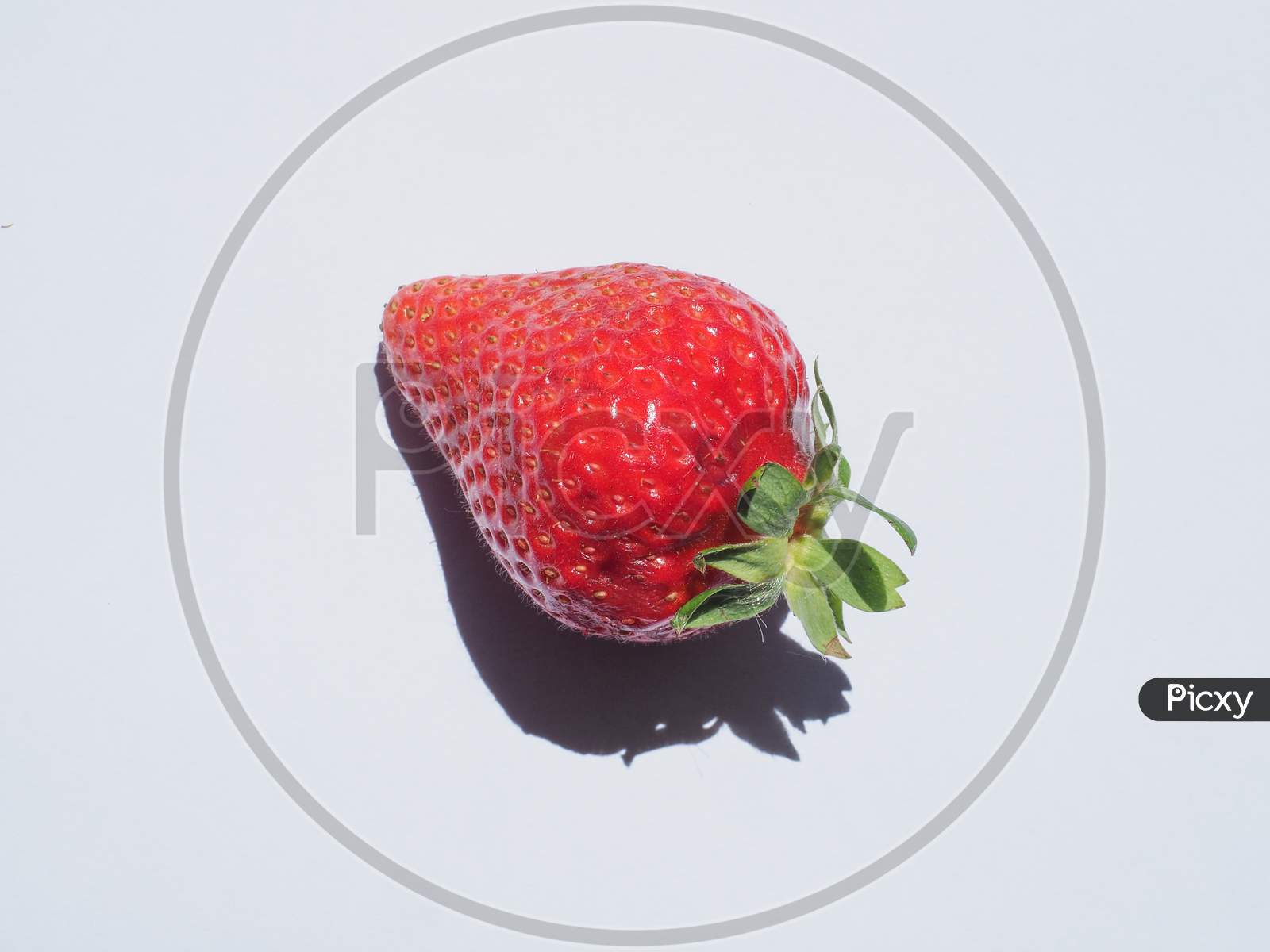 Image of Strawberry Fruit With Shadow-UM608083-Picxy