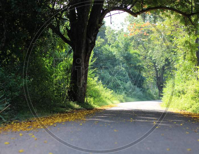 Image of Deep forest temple in south india routue mountains tamil gods ...