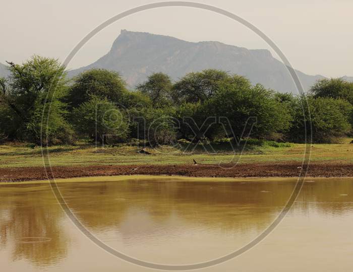 Image of Deep forest temple in south india routue mountains tamil gods ...