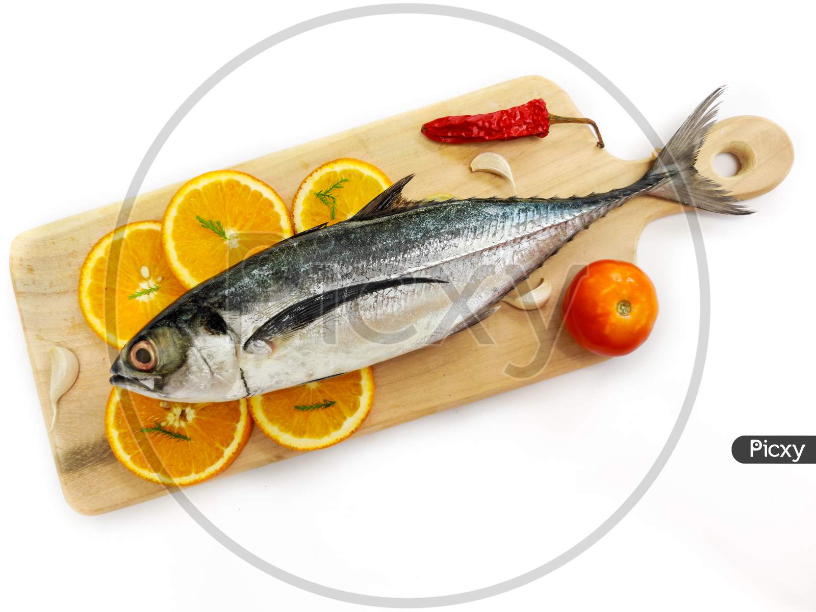 Image of Close Up View Of Fresh Finletted Mackerel Fish Or Torpedo Scad ...