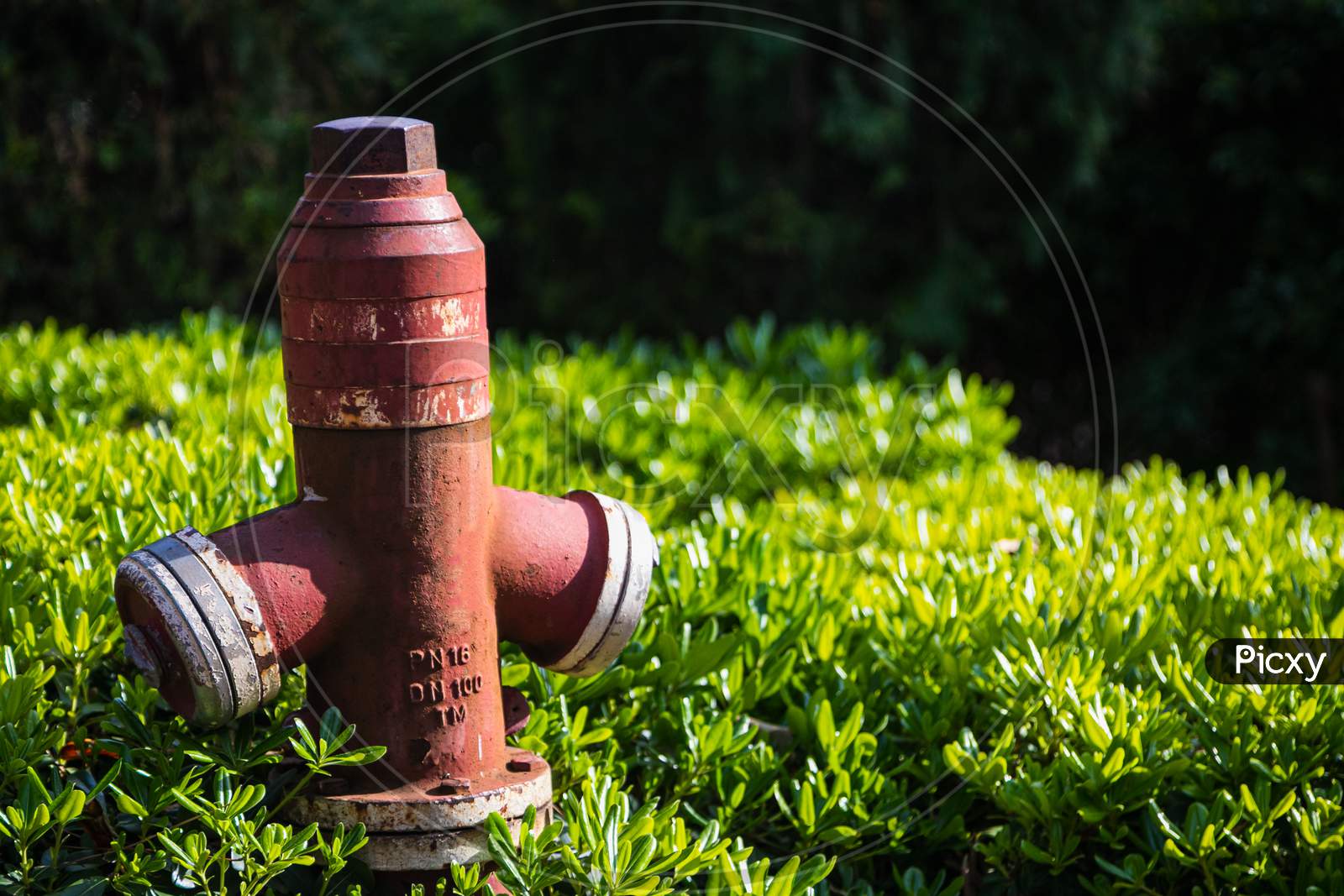 Image of Close-Up - Overhead Red Pressurized Fire Hydrant Against Green ...