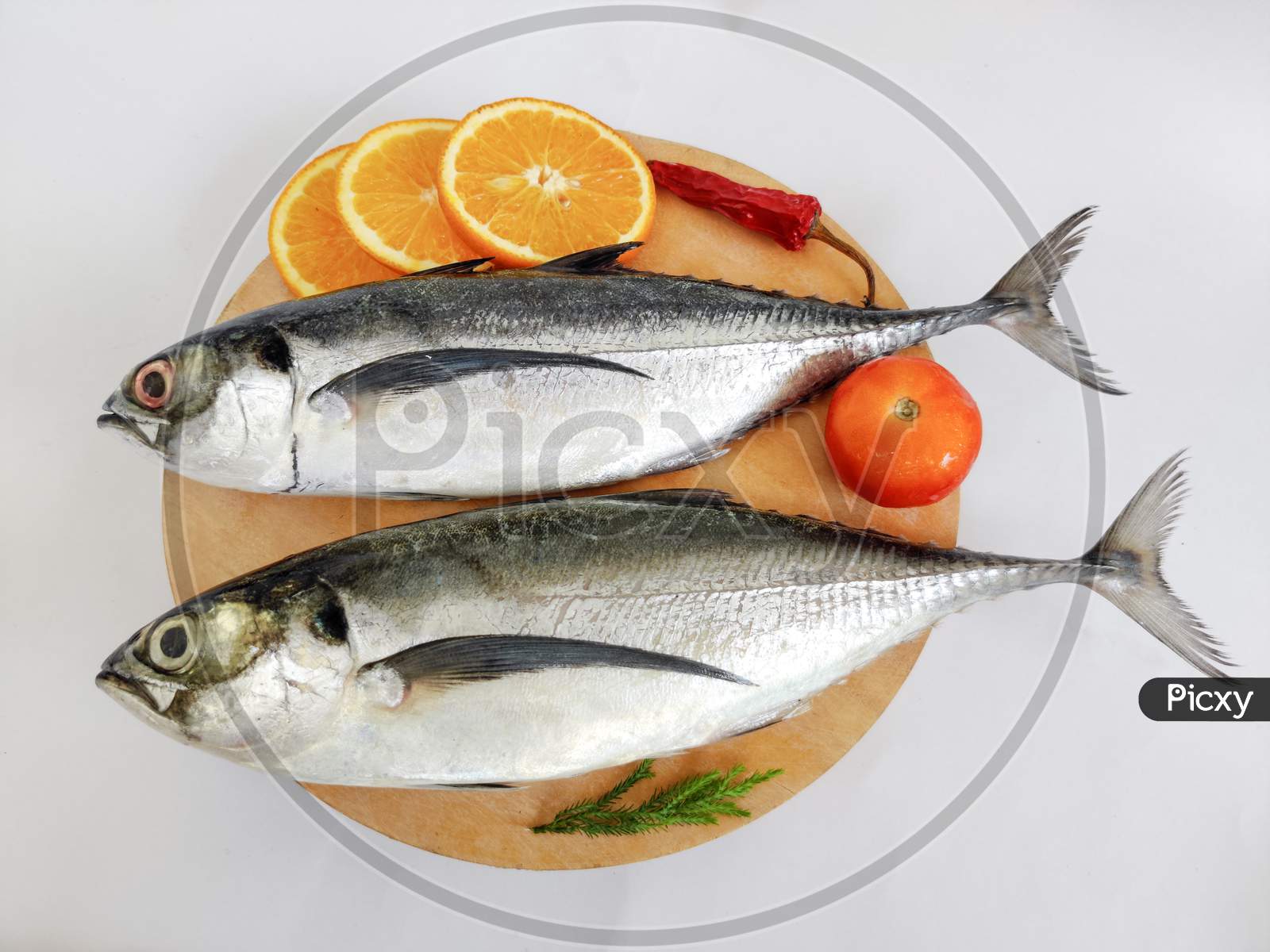 Image of Close Up View Of Fresh Finletted Mackerel Fish Or Torpedo Scad ...