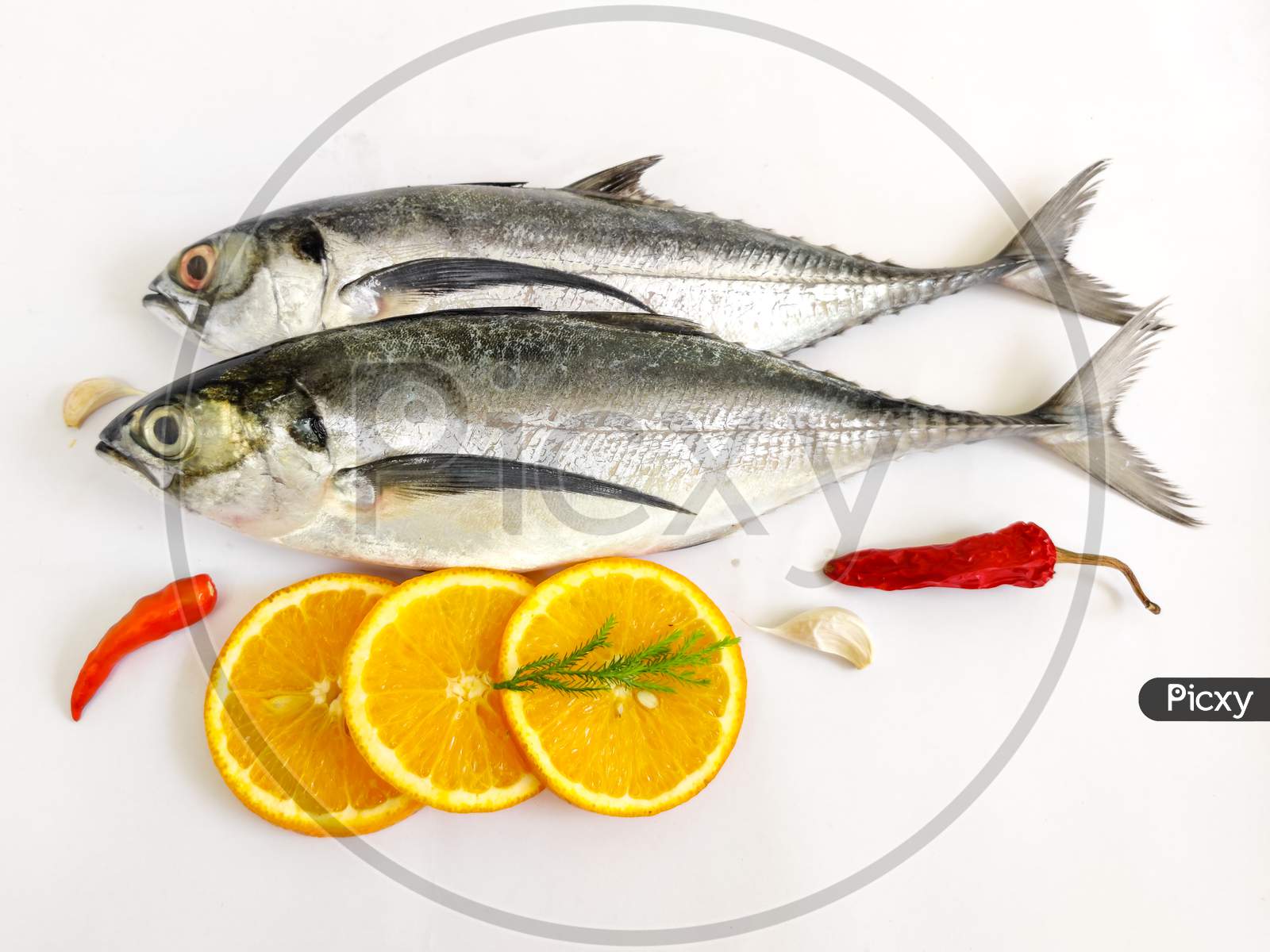 Image of Close Up View Of Fresh Finletted Mackerel Fish Or Torpedo Scad ...