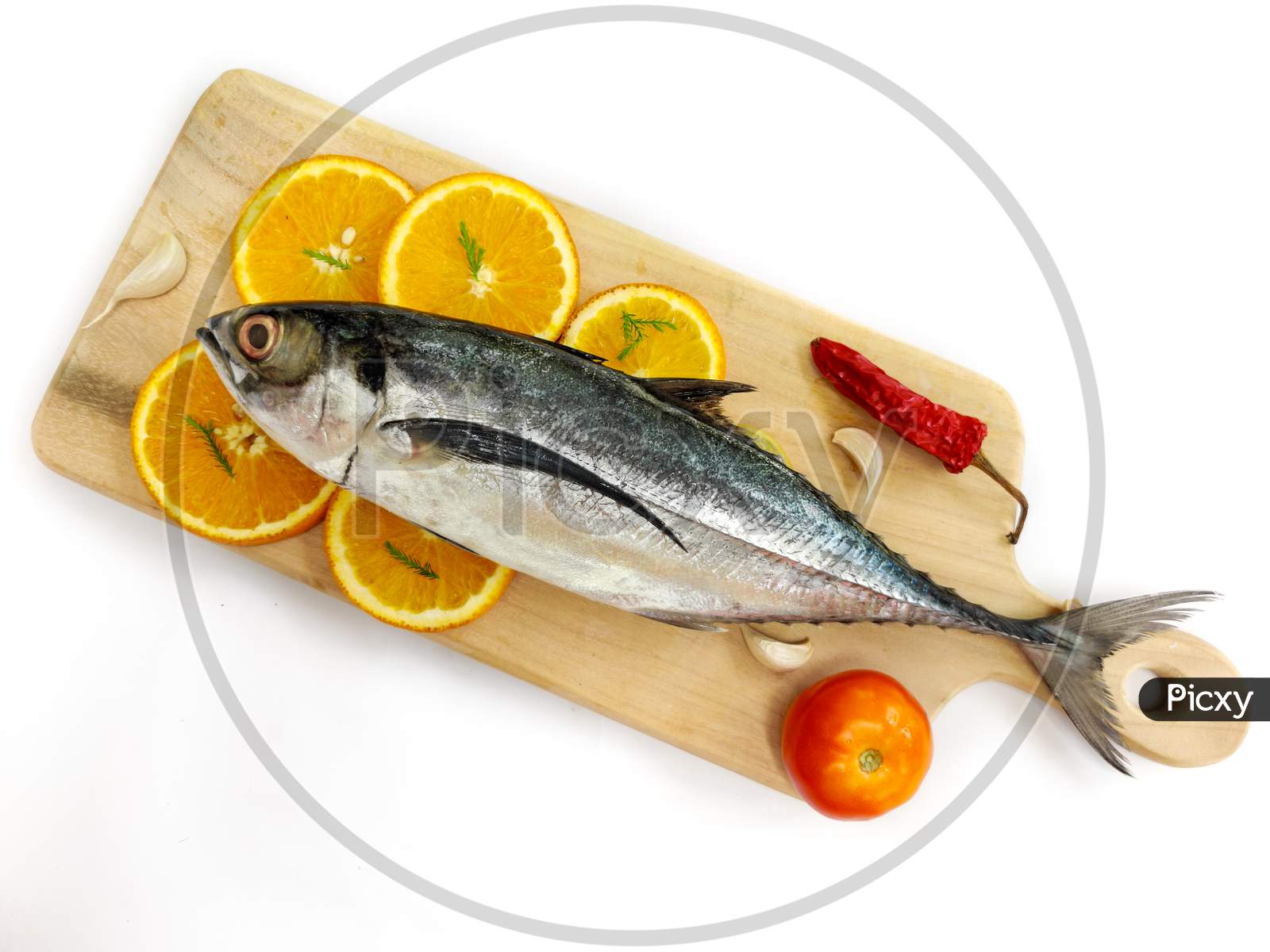 Image of Close Up View Of Fresh Finletted Mackerel Fish Or Torpedo Scad ...