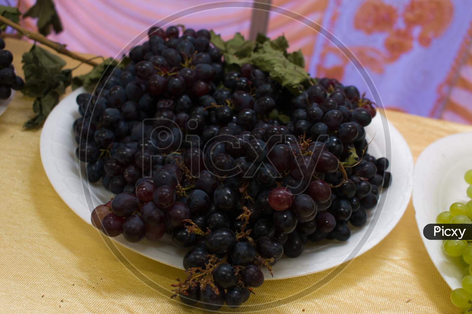 Image of Collection Of Black Grapes In A Plate-AA772409-Picxy