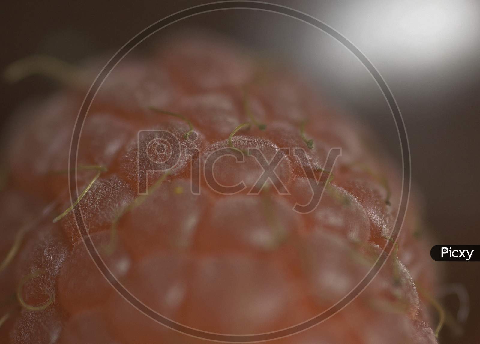 Image of Extreme Closeup of Fresh and Ripe raspberries macro ...