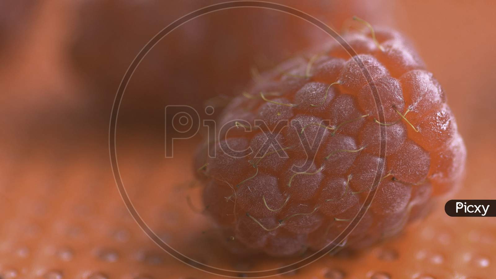Image of Extreme Closeup of Fresh and Ripe raspberries macro ...