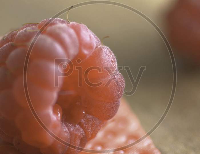 Image of Extreme Closeup of Fresh and Ripe raspberries macro ...