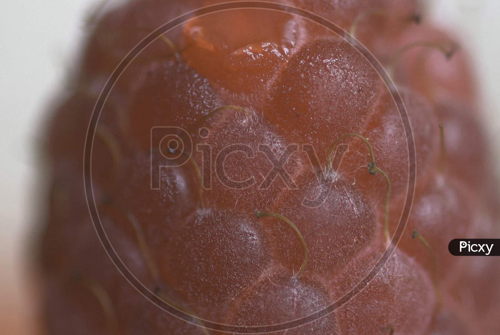 Image of Extreme Closeup of Fresh and Ripe raspberries macro ...