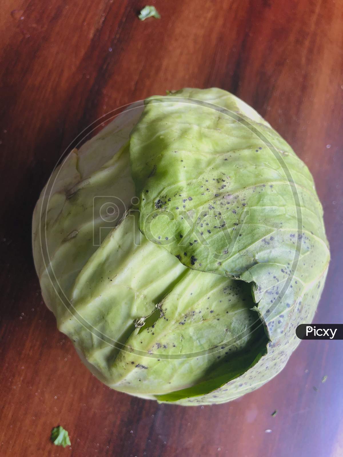 Image of Green Fresh Cabbage For Ready For Making Vegetable Item ...
