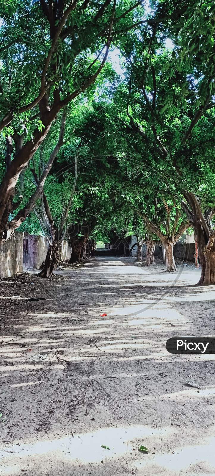 Image of Singri wallpapers-QJ386251-Picxy