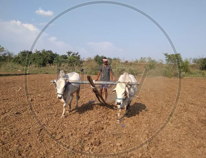 Image of Natural Farming-WB276470-Picxy