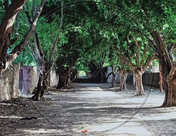 Image of Singri wallpapers-QJ386251-Picxy