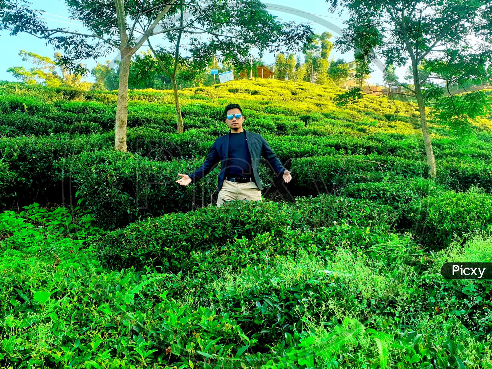 Image of Green and healthy environment, fresh oxygen-RS703835-Picxy