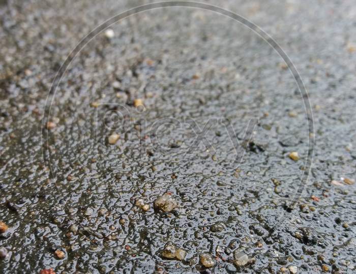 Image of Collection on small stone in mud-SM389669-Picxy