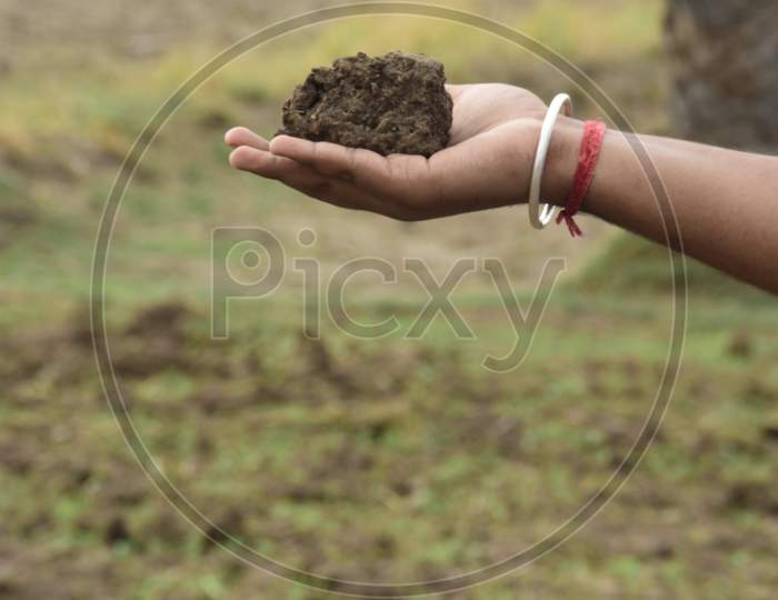 Image of Soil is a mixture of organic matter, minerals, gases, liquids ...