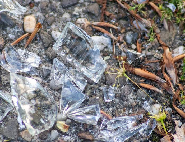 Image of Sharp shards of a broken glass bottle on the ground with sharp ...